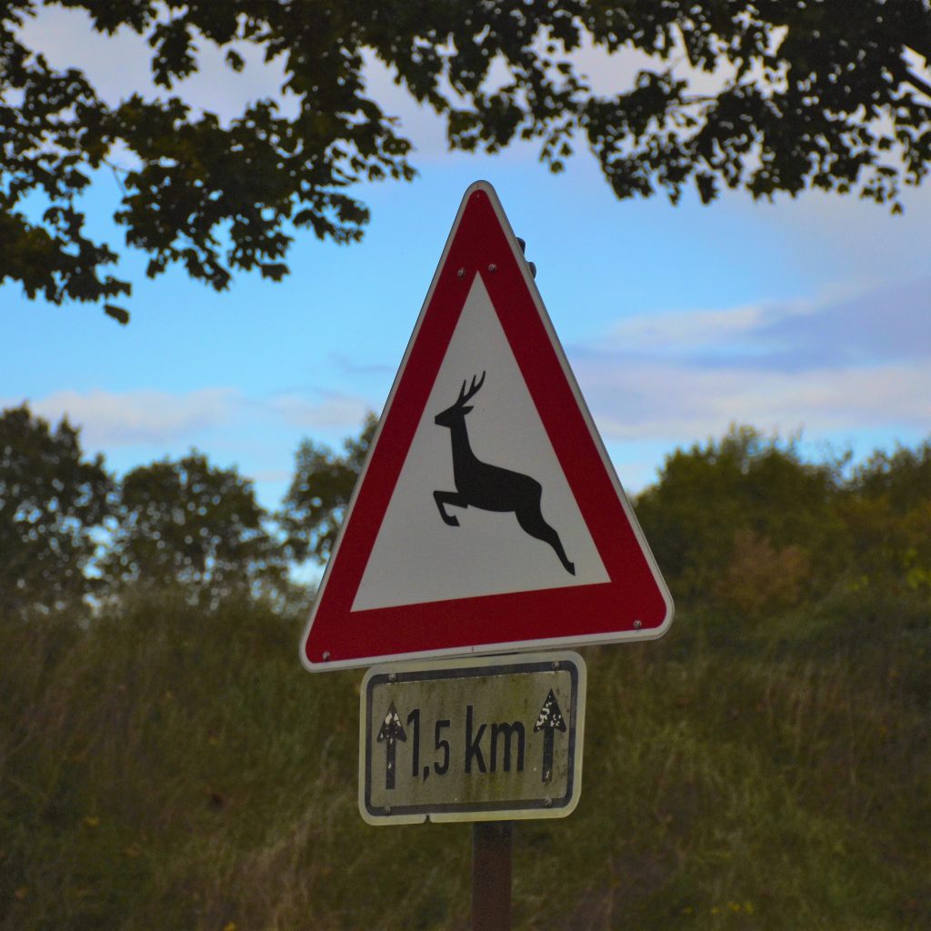 Verkehrsschild 142 - Achtung Wildwechsel - Landesjagdverband Schleswig ...